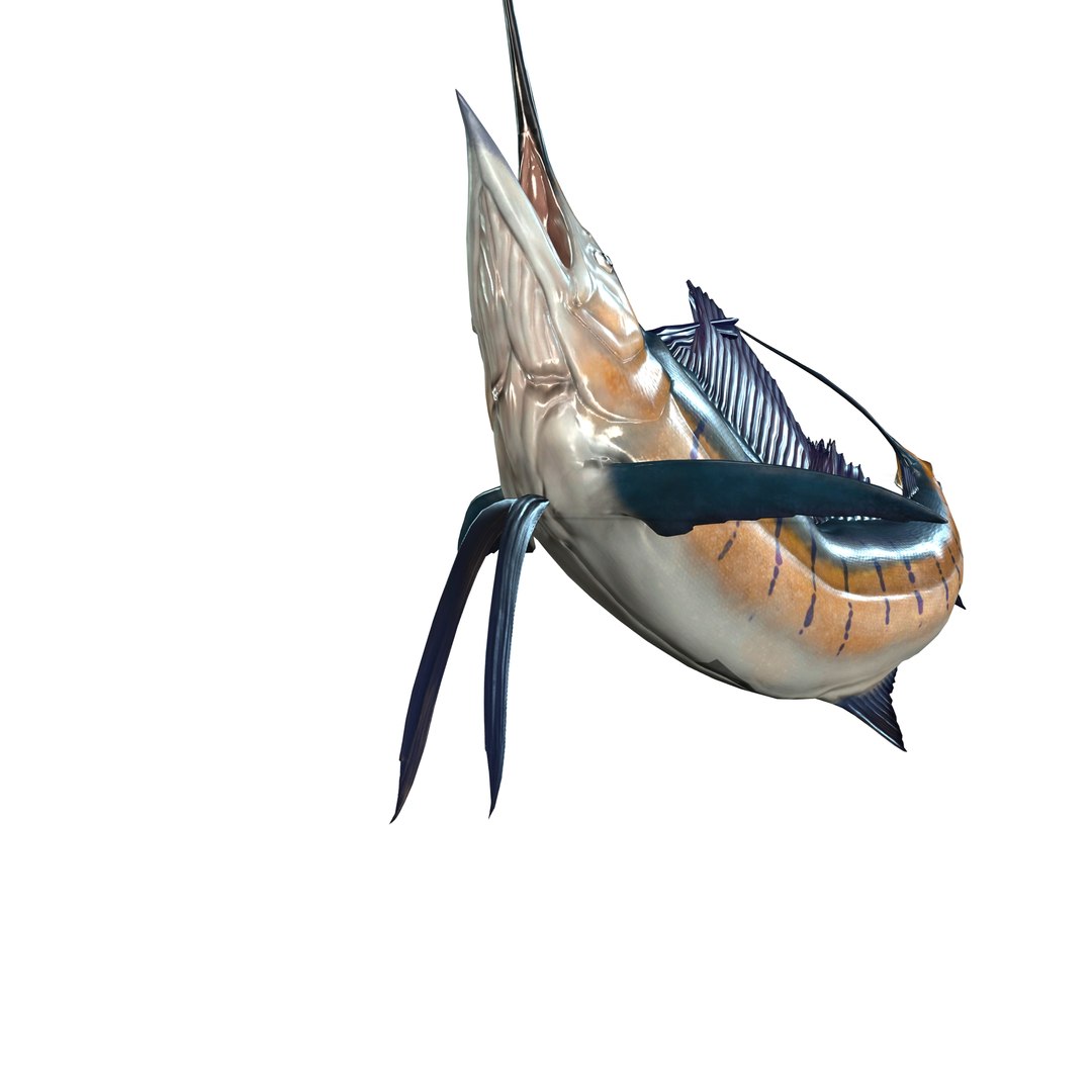 SWORDFISH SEA FISH OCEAN 3D Model - TurboSquid 2216844