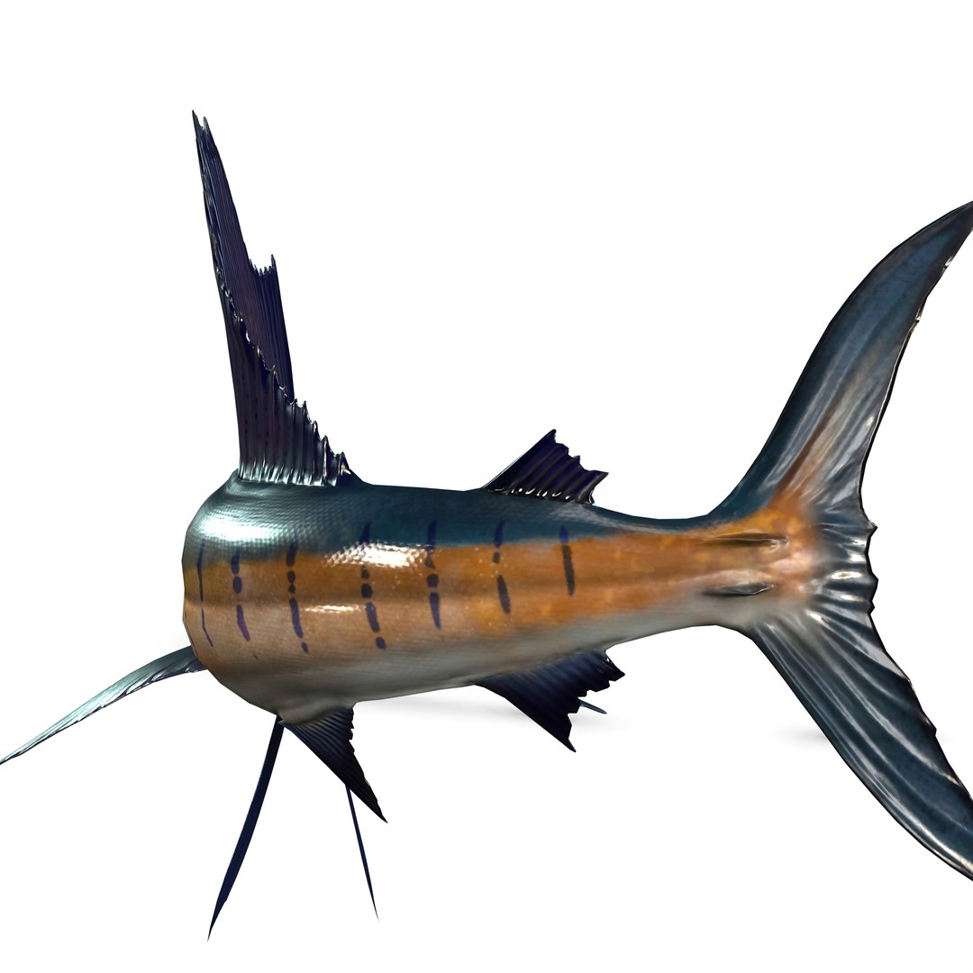 SWORDFISH SEA FISH OCEAN 3D Model - TurboSquid 2216844