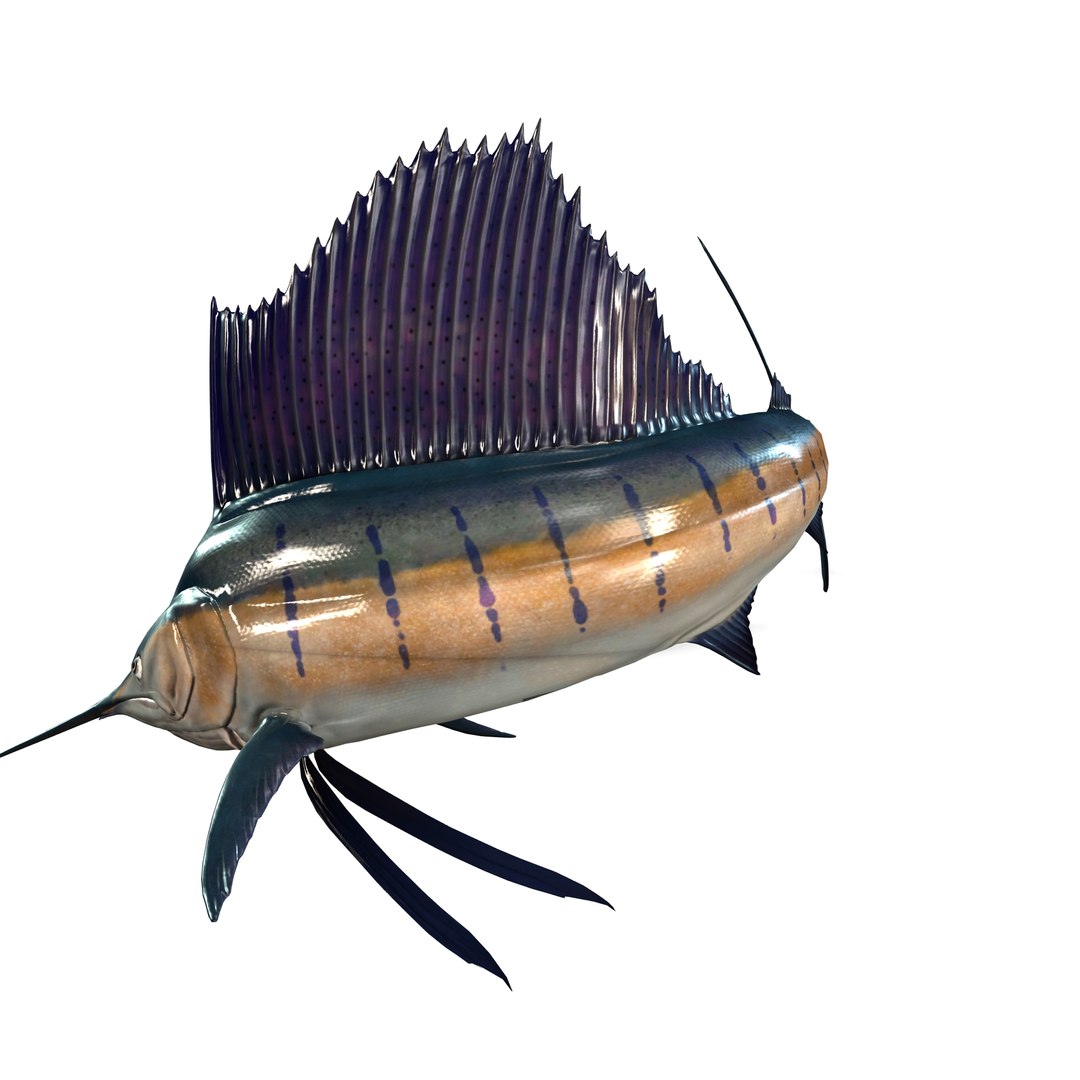 SWORDFISH SEA FISH OCEAN 3D Model - TurboSquid 2216844