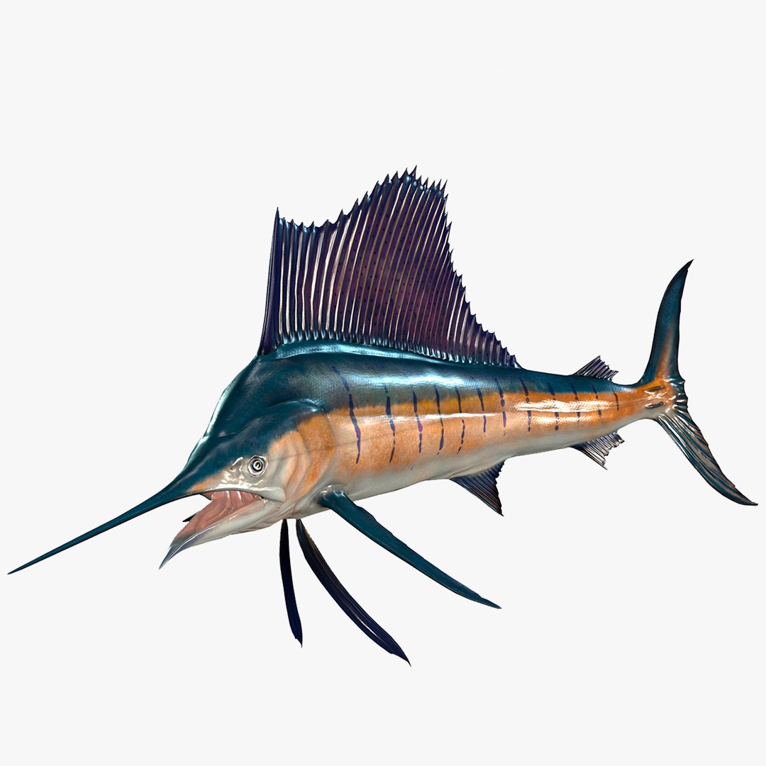 SWORDFISH SEA FISH OCEAN 3D Model - TurboSquid 2216844