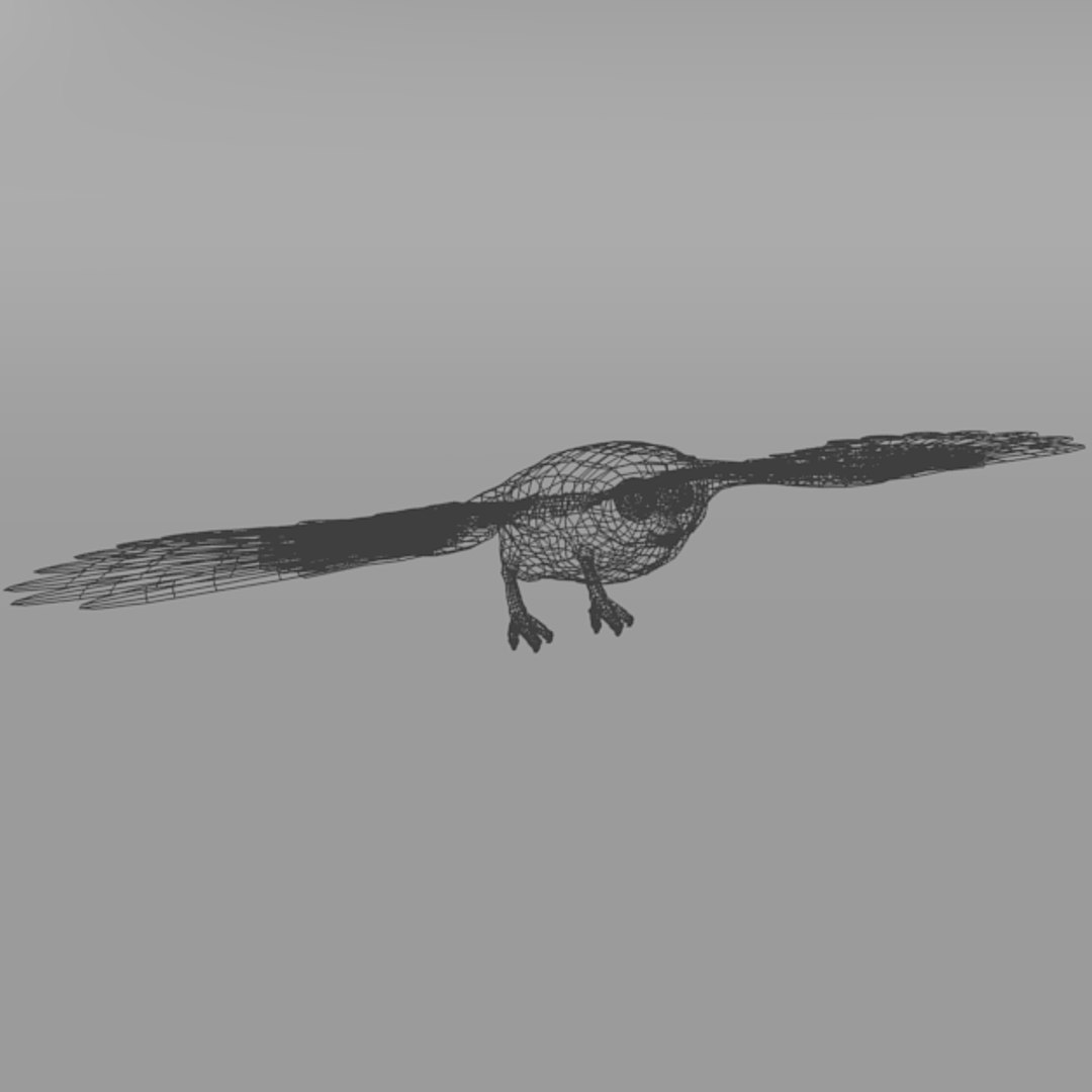 Owl model - TurboSquid 1316797