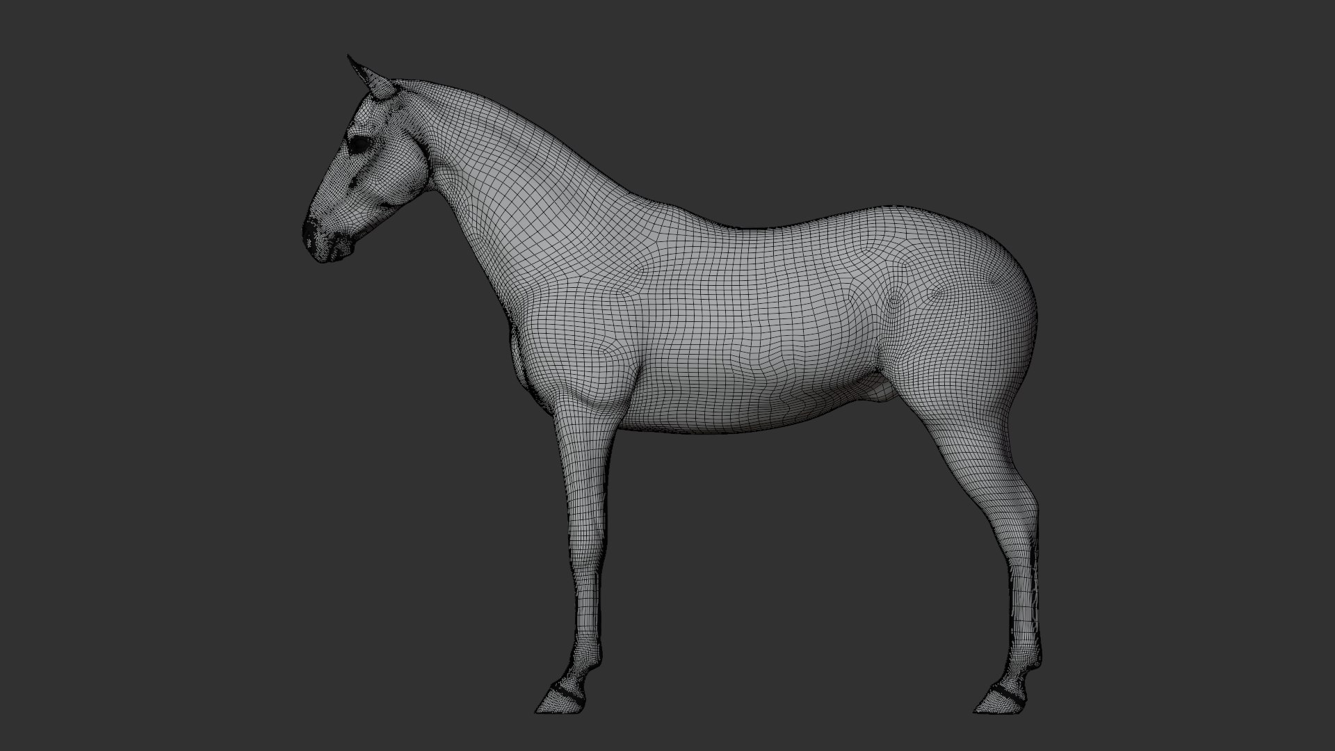 3D Horse Model High Poly - TurboSquid 2093884