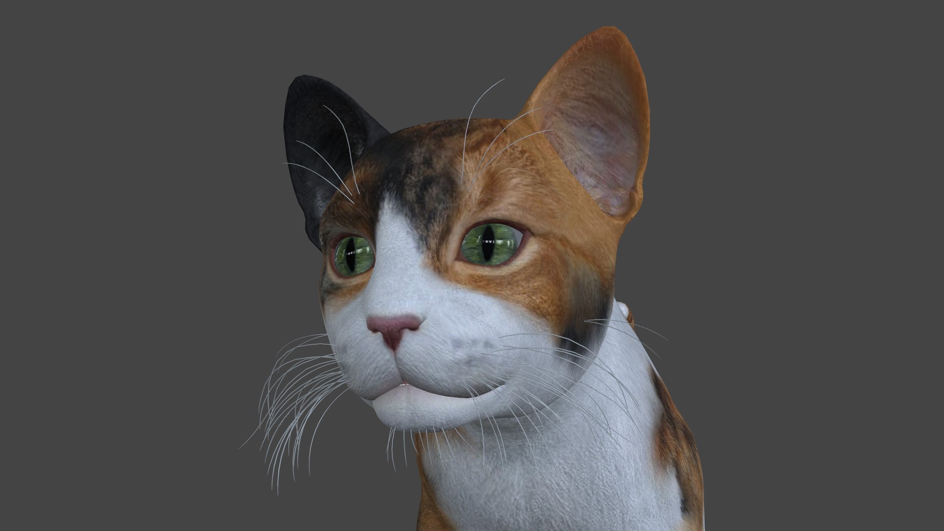 modelo 3d CAT-019 Camina en el lugar - TurboSquid 1839882