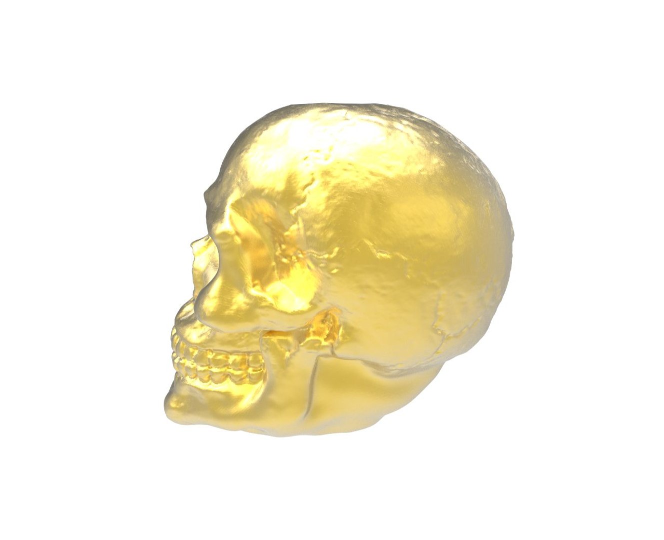 Skull Modified 3d Model