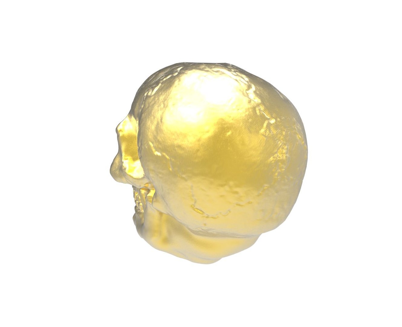 Skull Modified 3d Model
