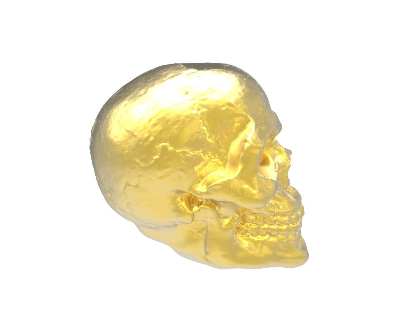 Skull Modified 3d Model