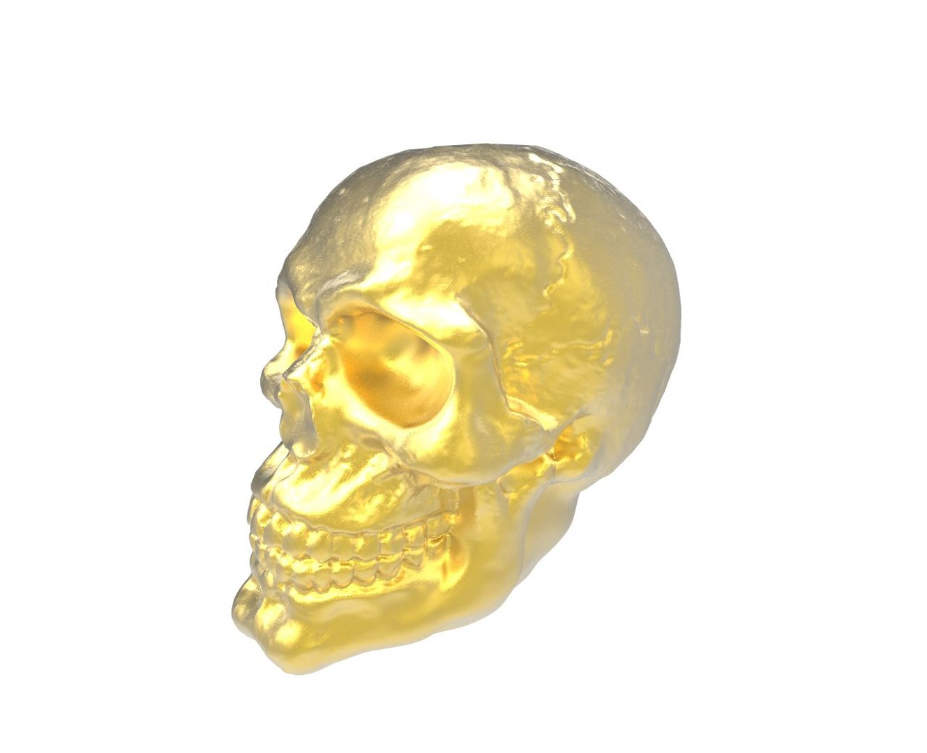 Skull Modified 3d Model