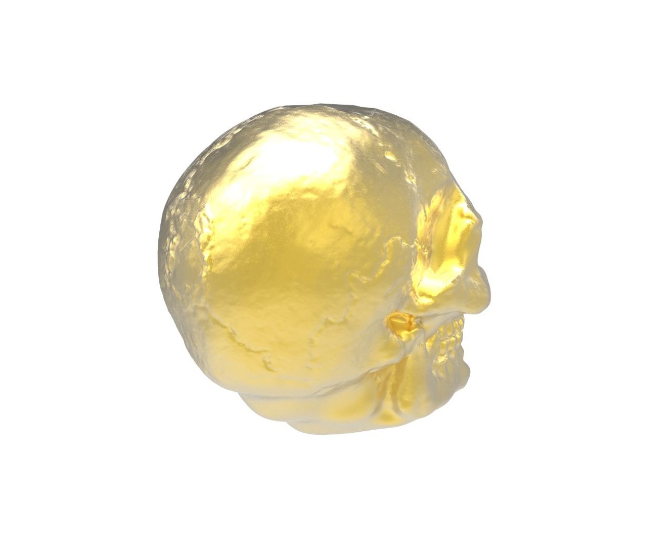 Skull Modified 3d Model
