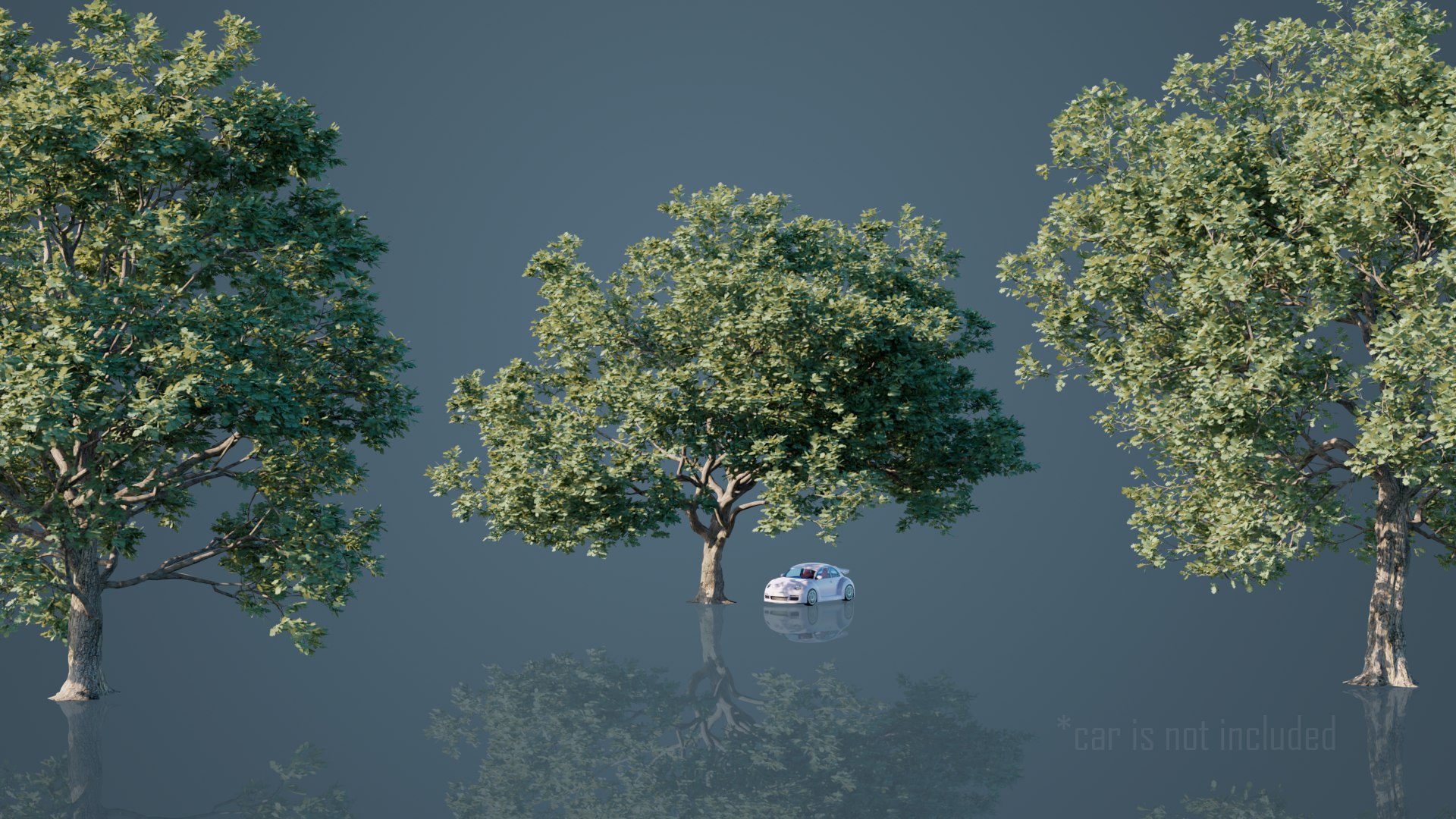 White Oak Trees 3D Model - TurboSquid 1785565