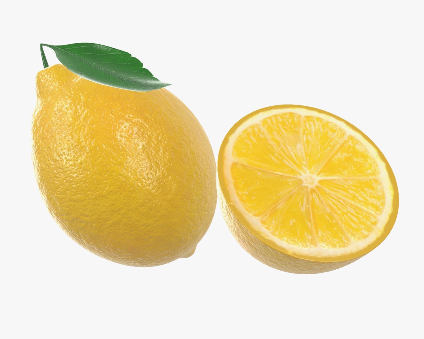Lemon Leaf Model - TurboSquid 1389038