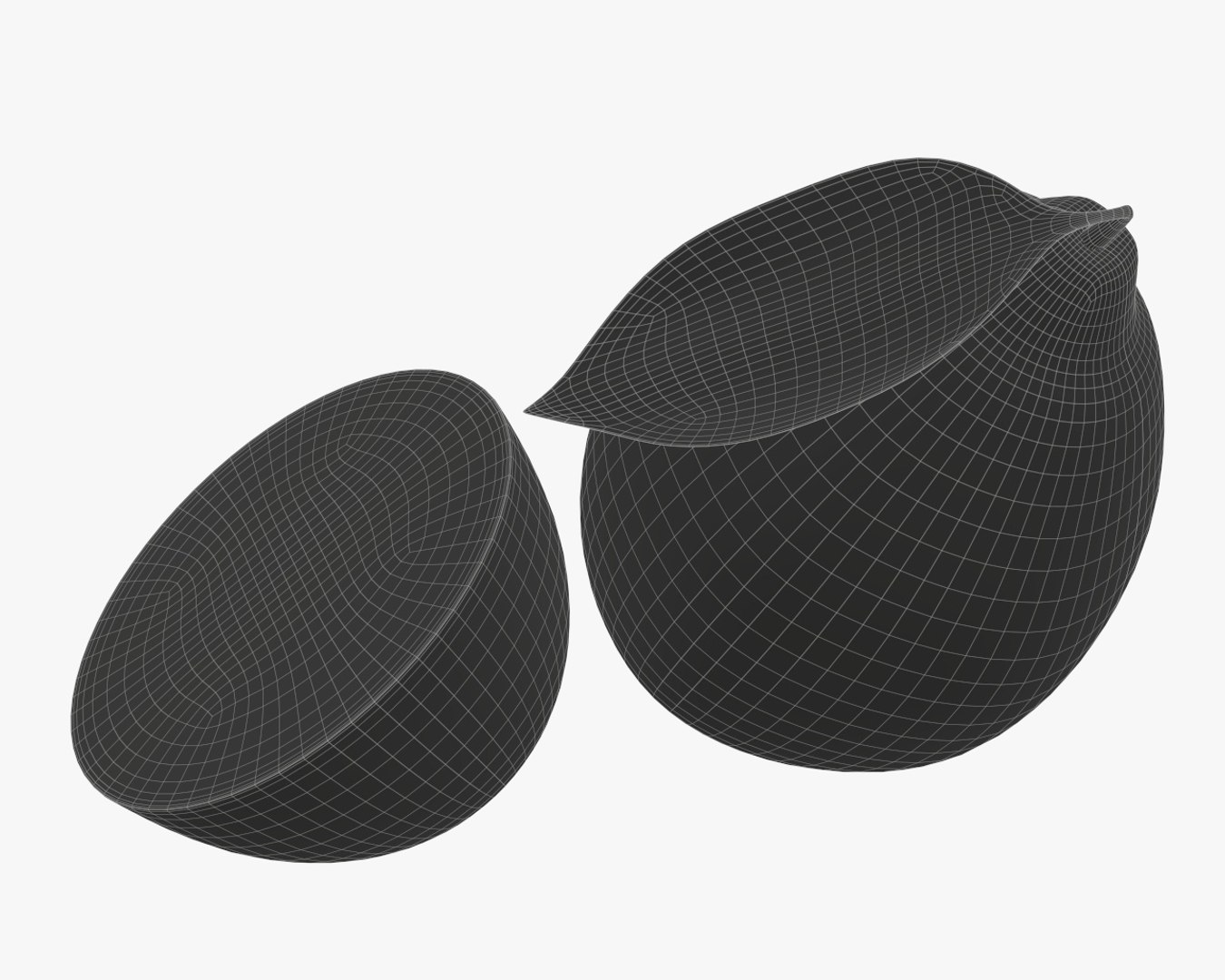 Lemon Leaf Model - TurboSquid 1389038