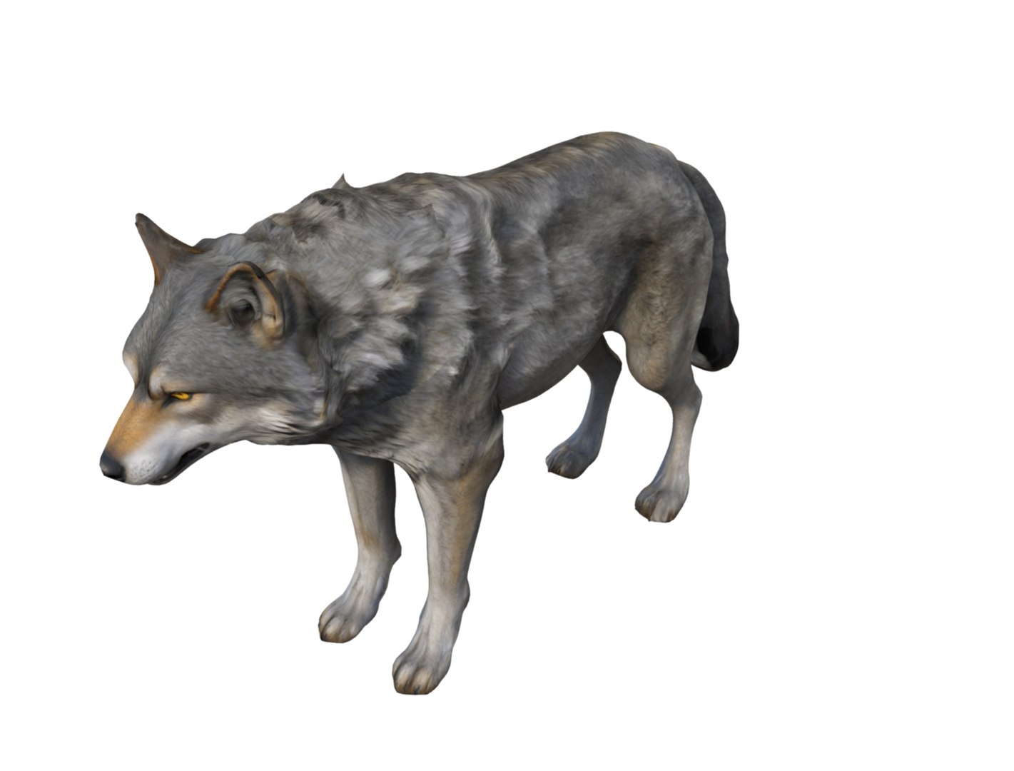 3D Realistic Wolf 3D Model - TurboSquid 2325341