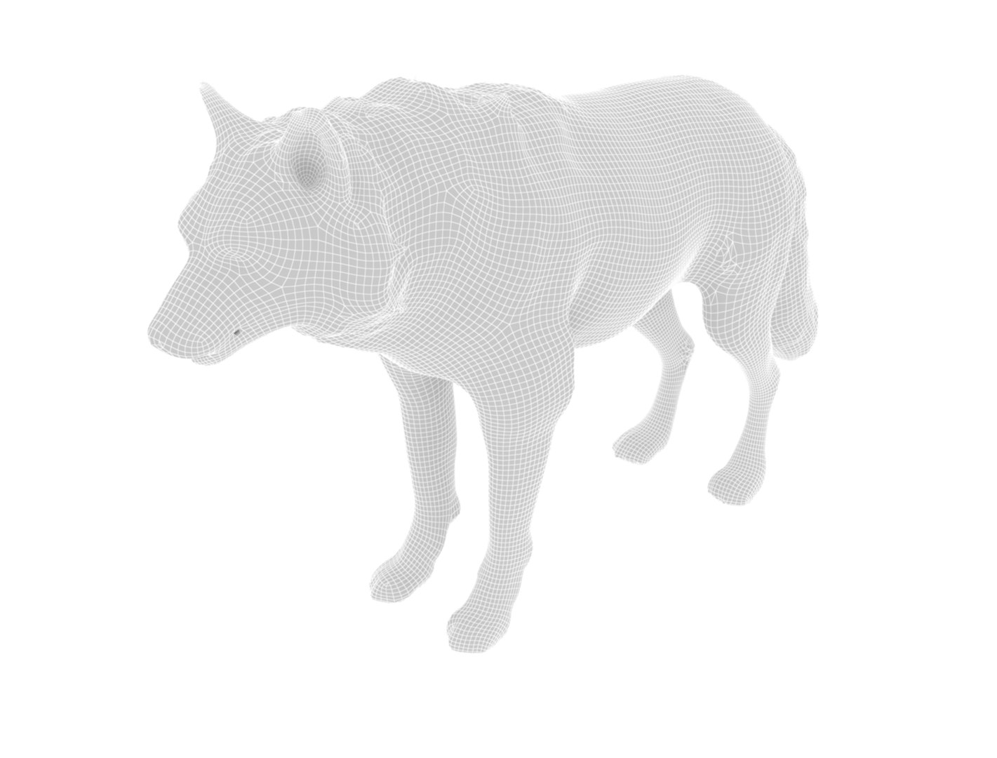 3D Realistic Wolf 3D Model - TurboSquid 2325341