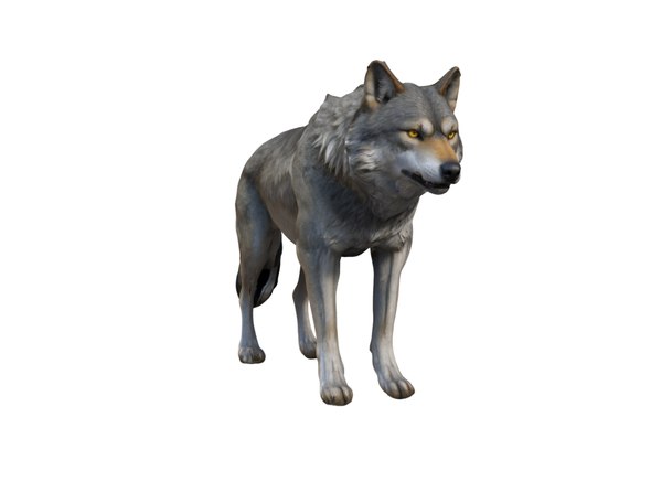 modelo 3d Modelo 3D de lobo realista - TurboSquid 2325341