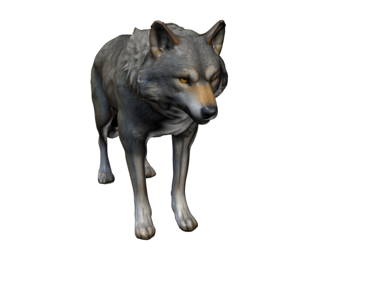 3D Realistic Wolf 3D Model - TurboSquid 2325341