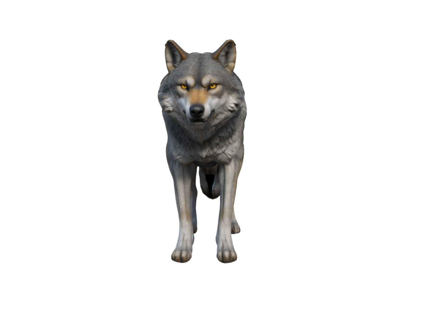 3D Realistic Wolf 3D Model - TurboSquid 2325341