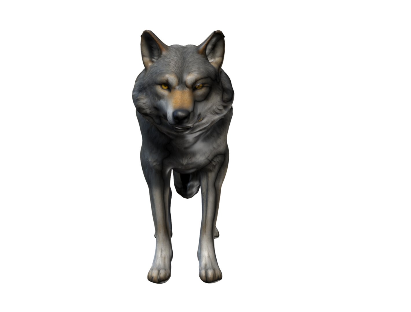 3D Realistic Wolf 3D Model - TurboSquid 2325341