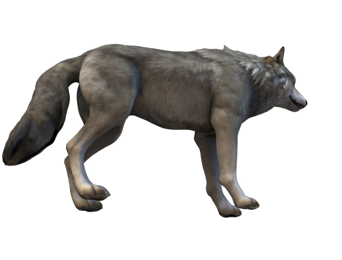 3D Realistic Wolf 3D Model - TurboSquid 2325341