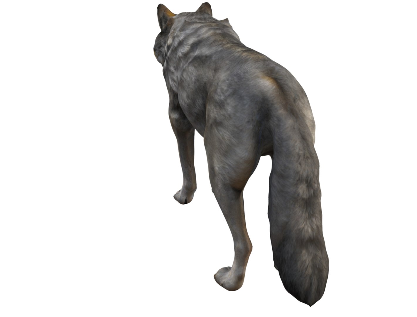 3D Realistic Wolf 3D Model - TurboSquid 2325341