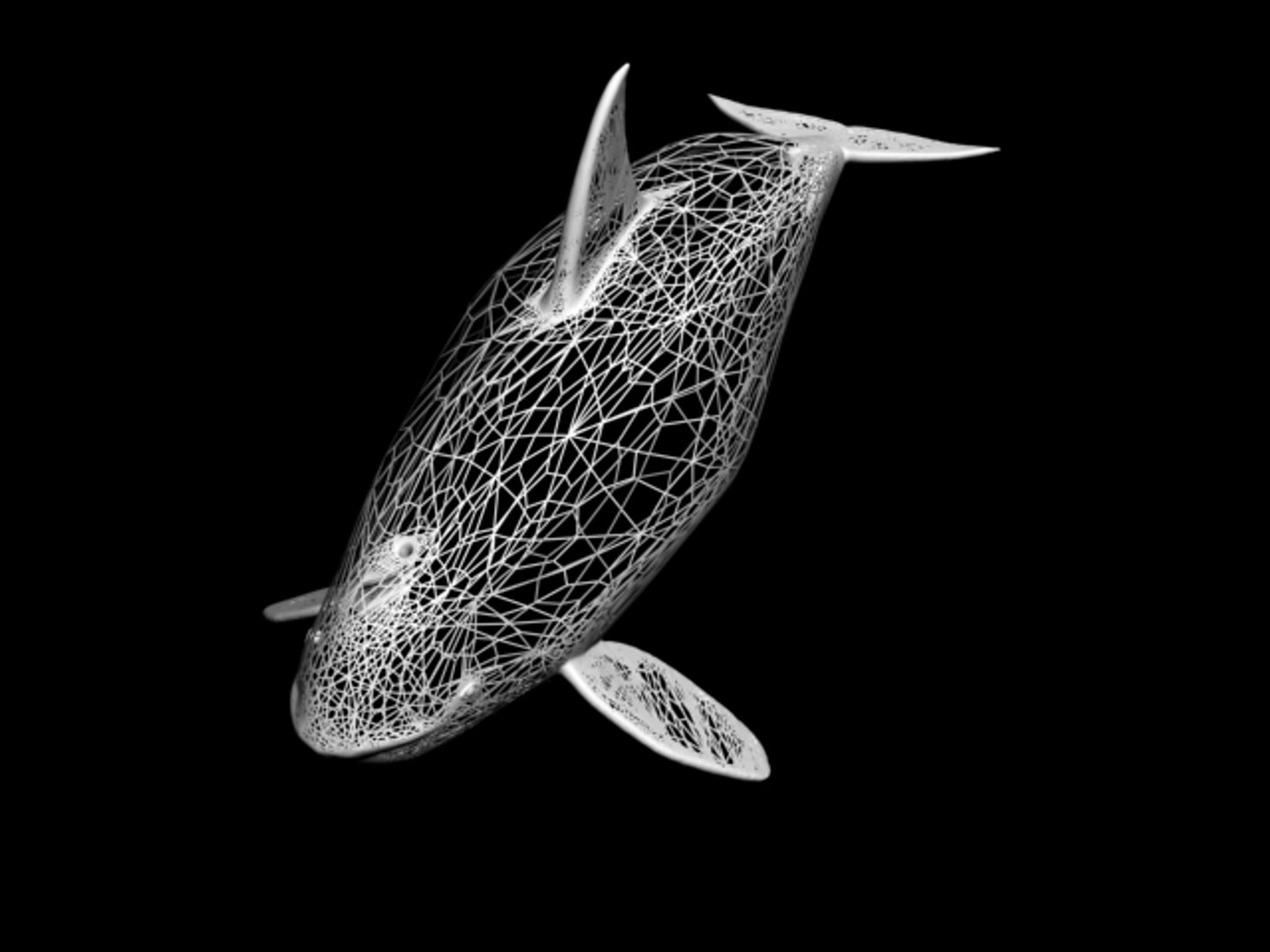 3d Model Orca Whale