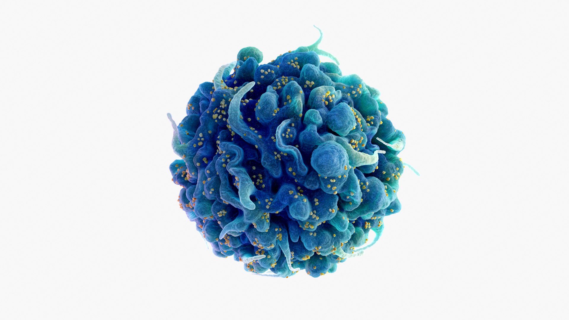 3D HIV Cell Model - TurboSquid 1907454