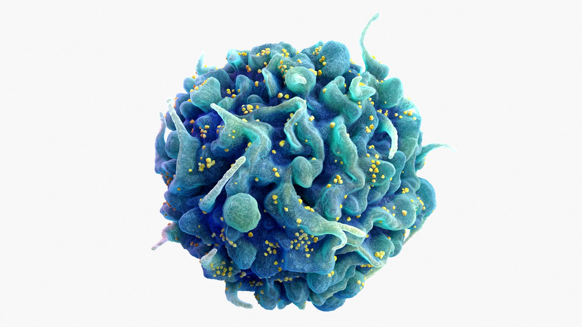 3D HIV Cell Model - TurboSquid 1907454
