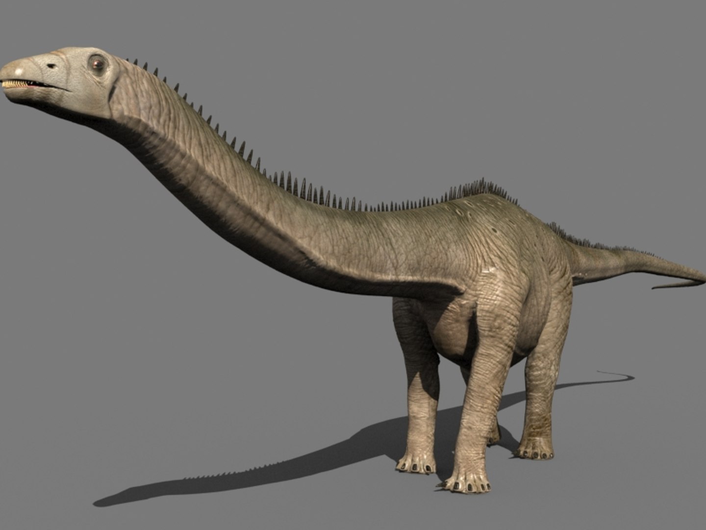 Maya Diplodocus Dinosaur - Real