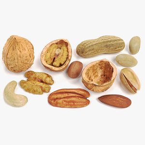 3D Nuts Models - Browse & Download Formats - TurboSquid