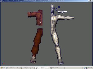 Free Human Body 3D Models for Download | TurboSquid
