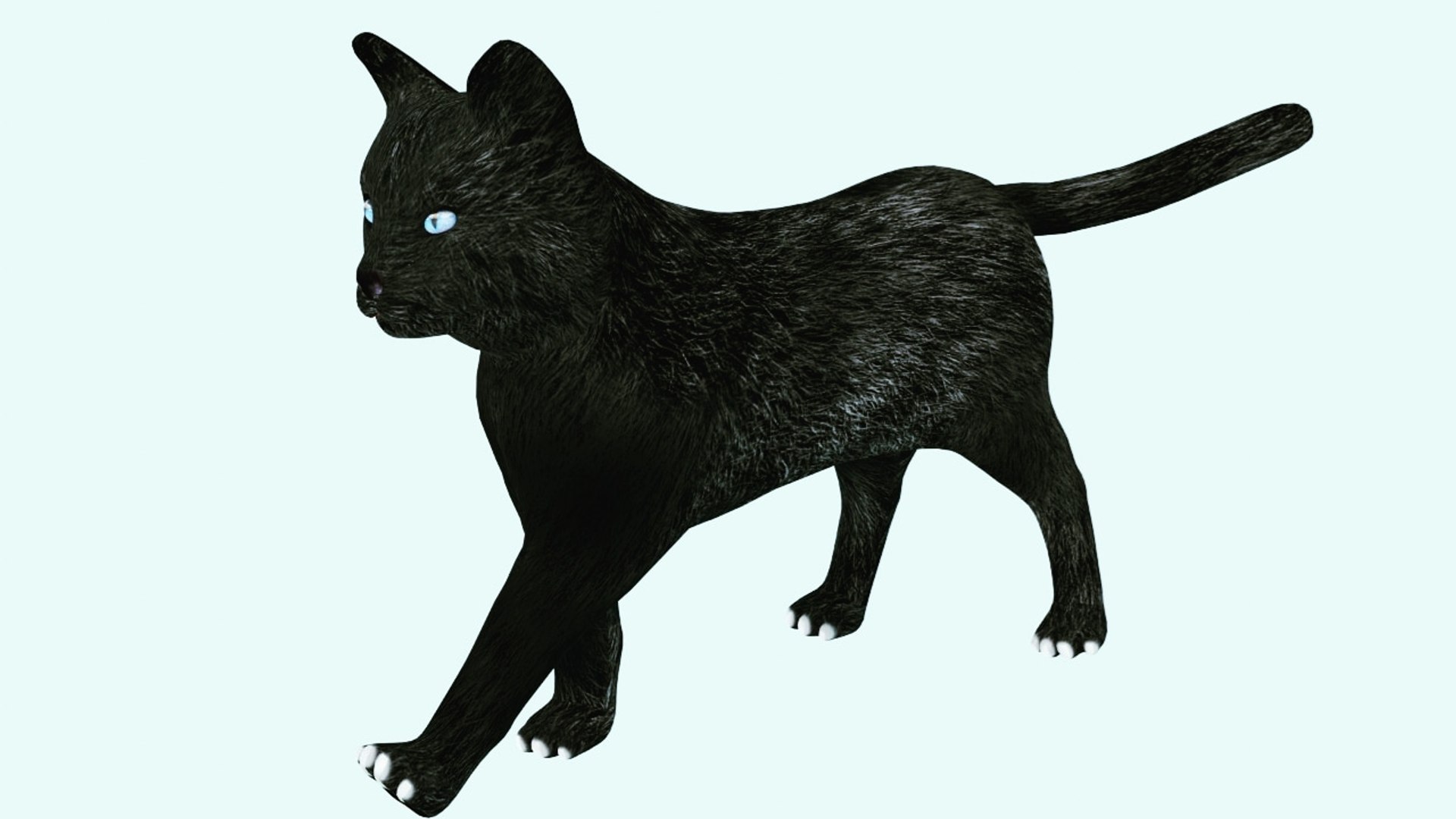 3D Black Cat Rigged Ready Model - TurboSquid 1653963