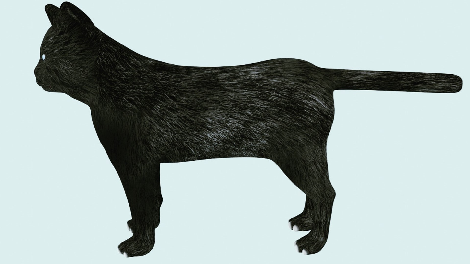 3D Black Cat Rigged Ready Model - TurboSquid 1653963