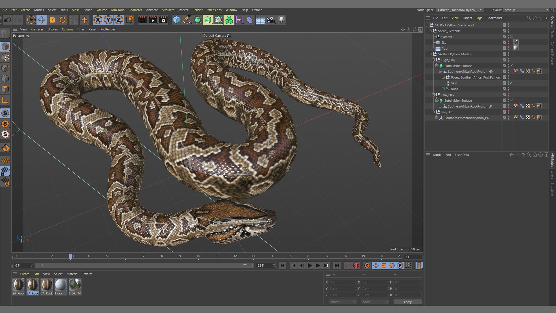 Southern African Rock Python - Rigged 3D - TurboSquid 1842289