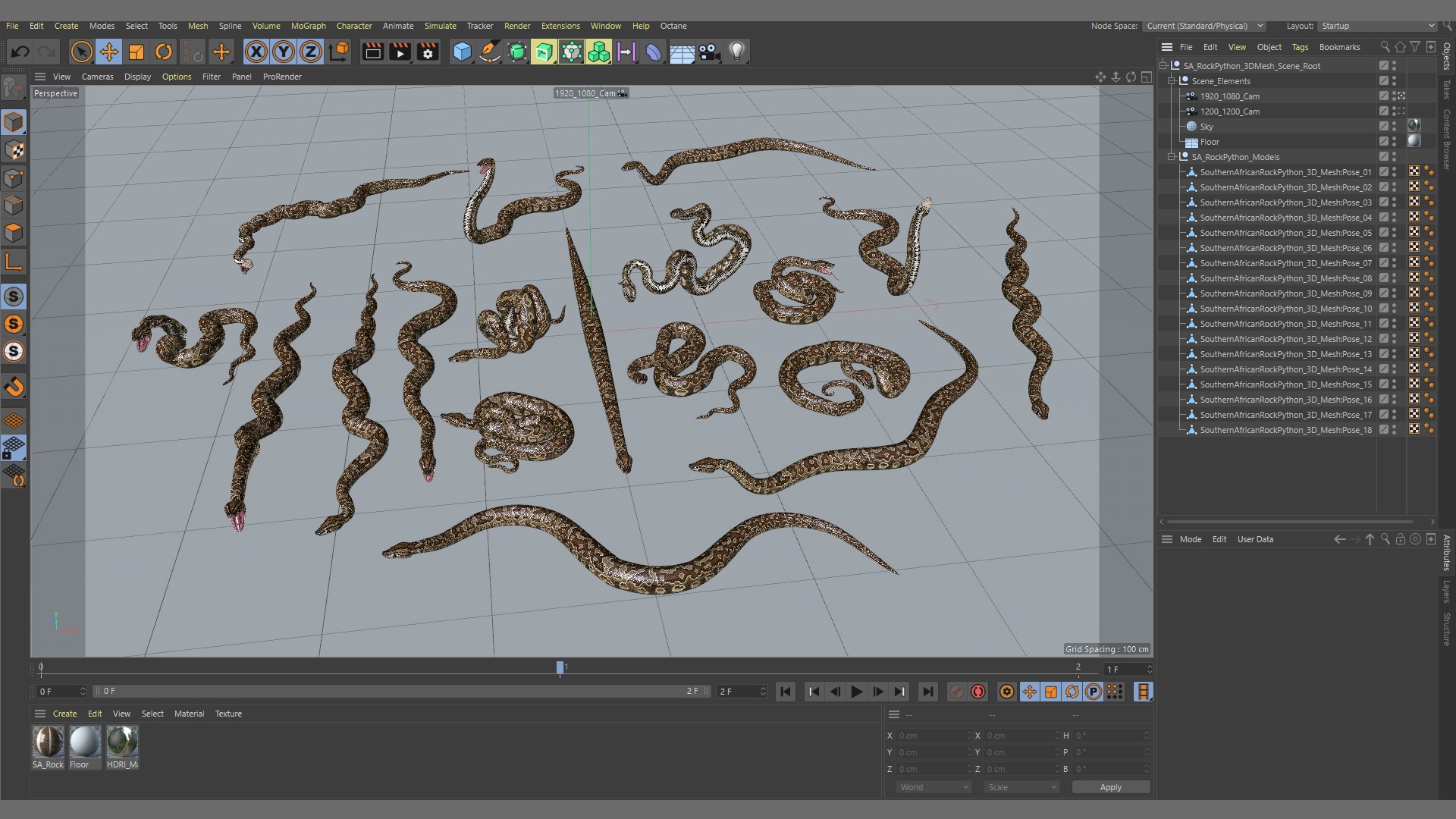 Southern African Rock Python - Rigged 3D - TurboSquid 1842289
