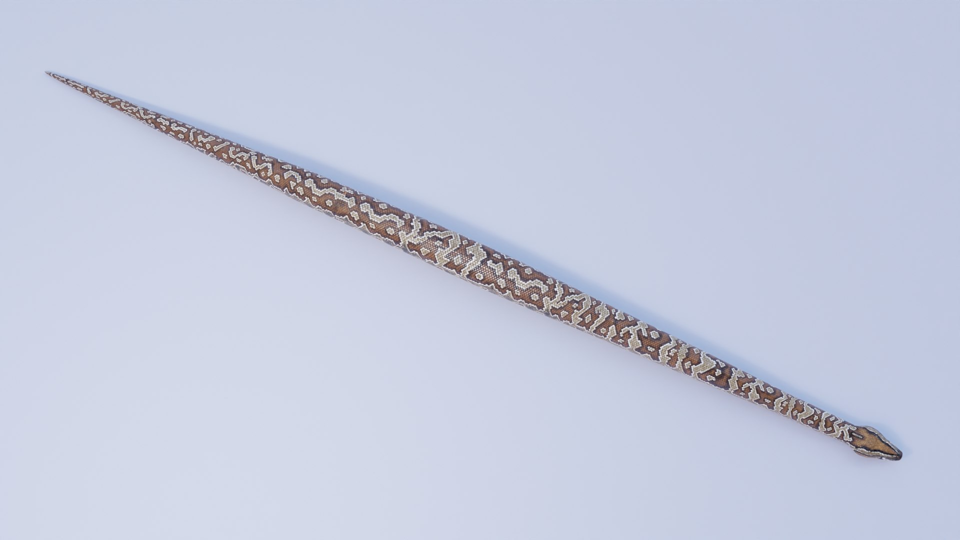 Southern African Rock Python - Rigged 3D - TurboSquid 1842289