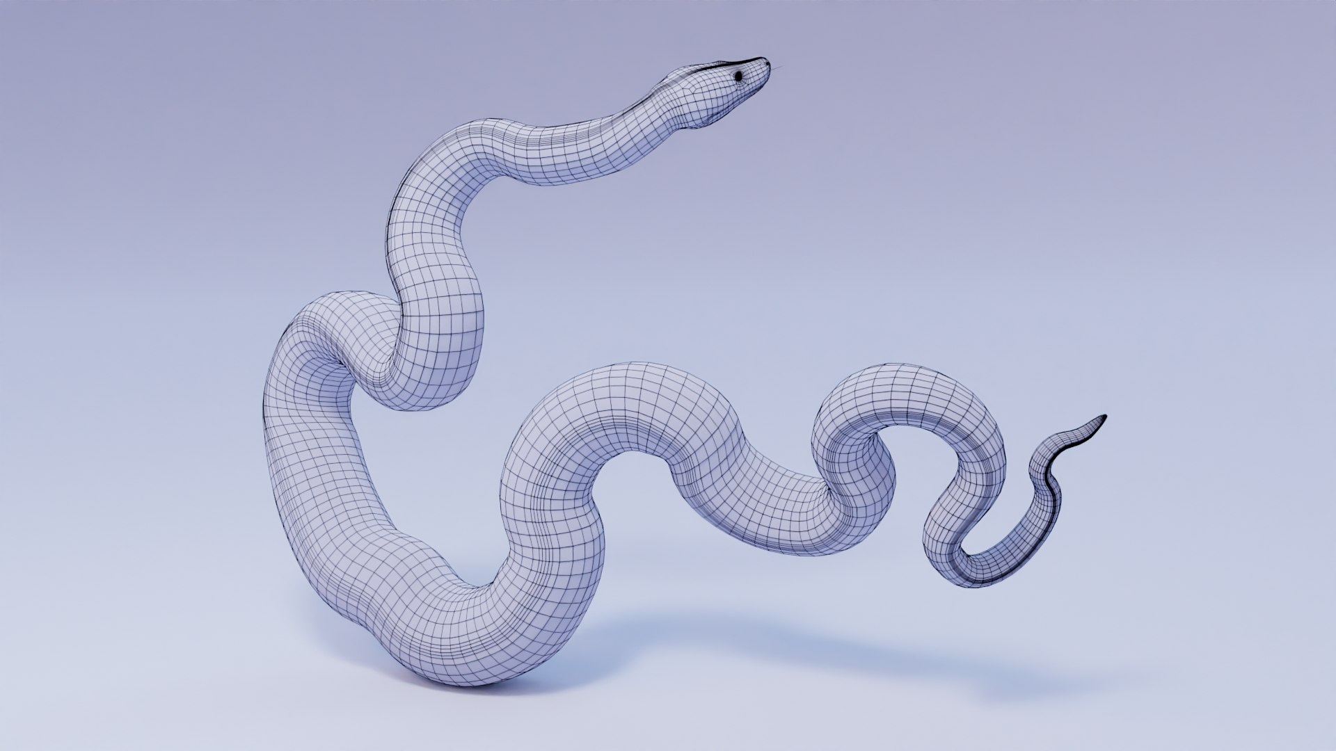 Southern African Rock Python - Rigged 3D - TurboSquid 1842289