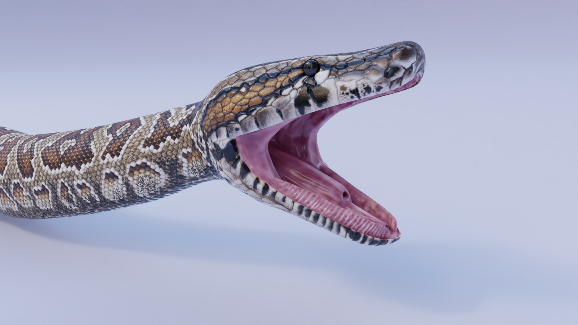 Southern African Rock Python - Rigged 3D - TurboSquid 1842289