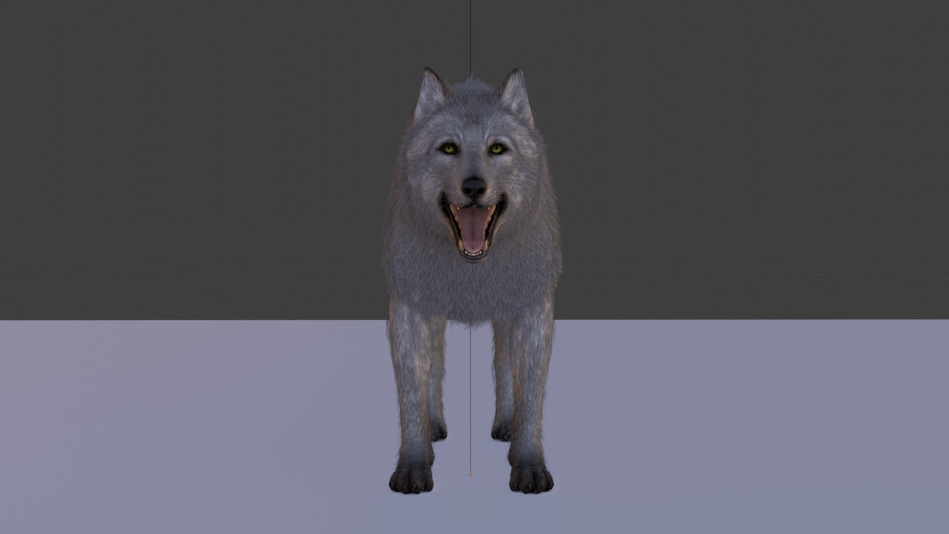 3D Wolf White - TurboSquid 2221387