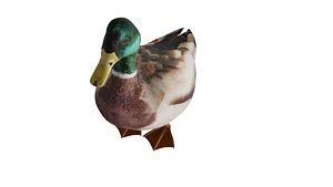 Blender Duck Models | TurboSquid