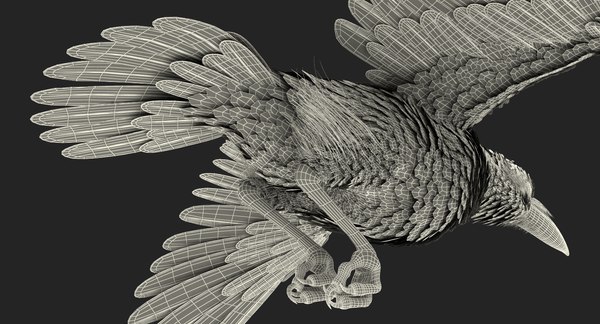 Raven Flying Animated Rigged3Dモデル - TurboSquid 1428166