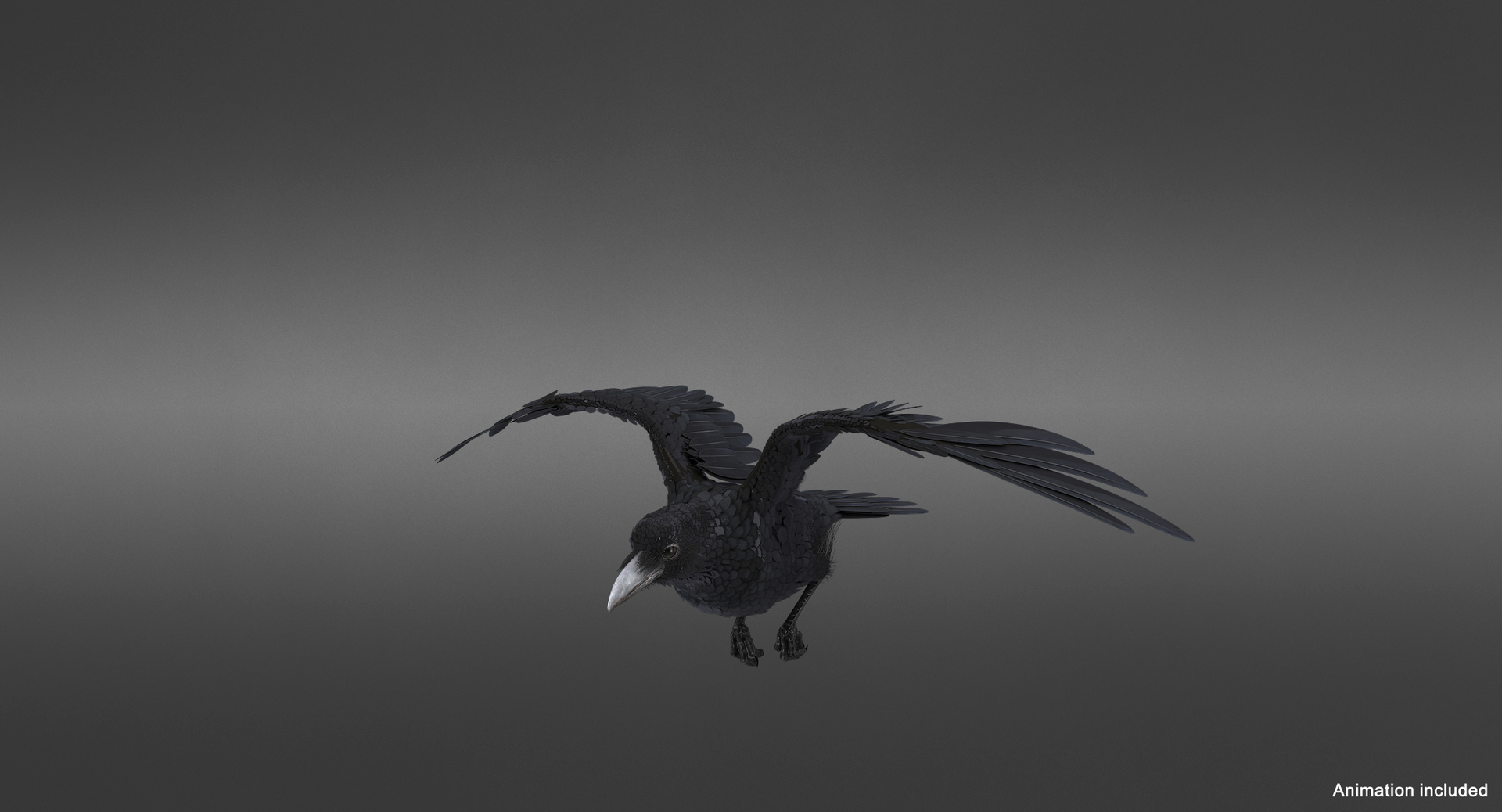 Raven flying rigged flight animation model - TurboSquid 1428166