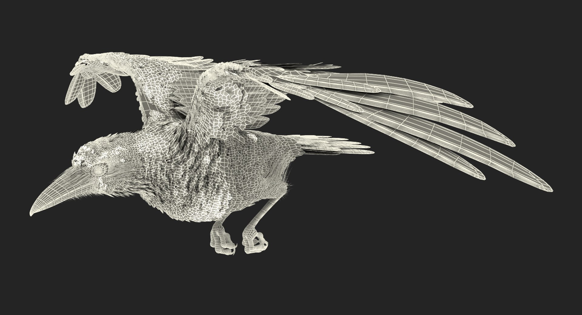 Raven flying rigged flight animation model - TurboSquid 1428166