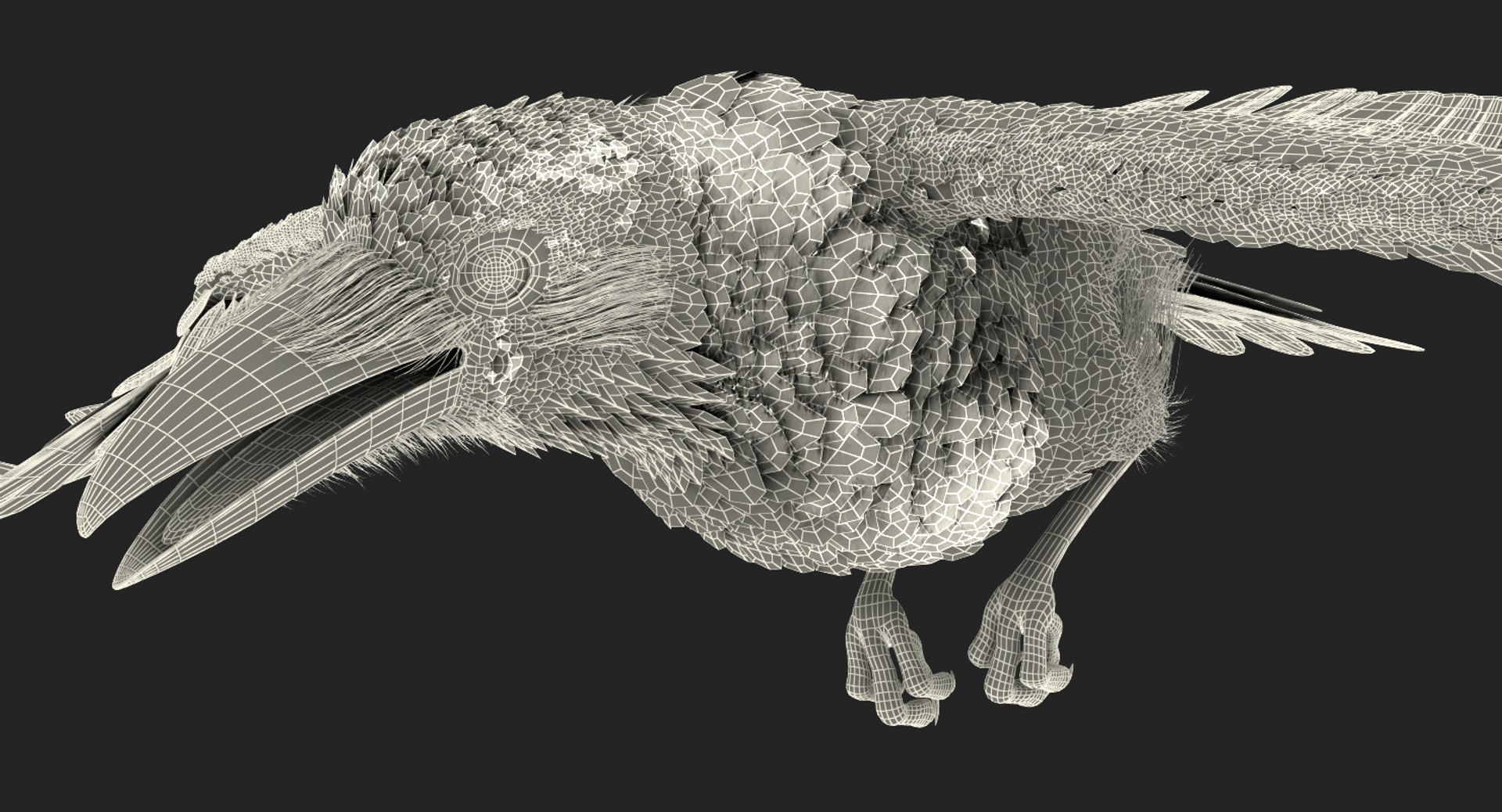 Raven flying rigged flight animation model - TurboSquid 1428166