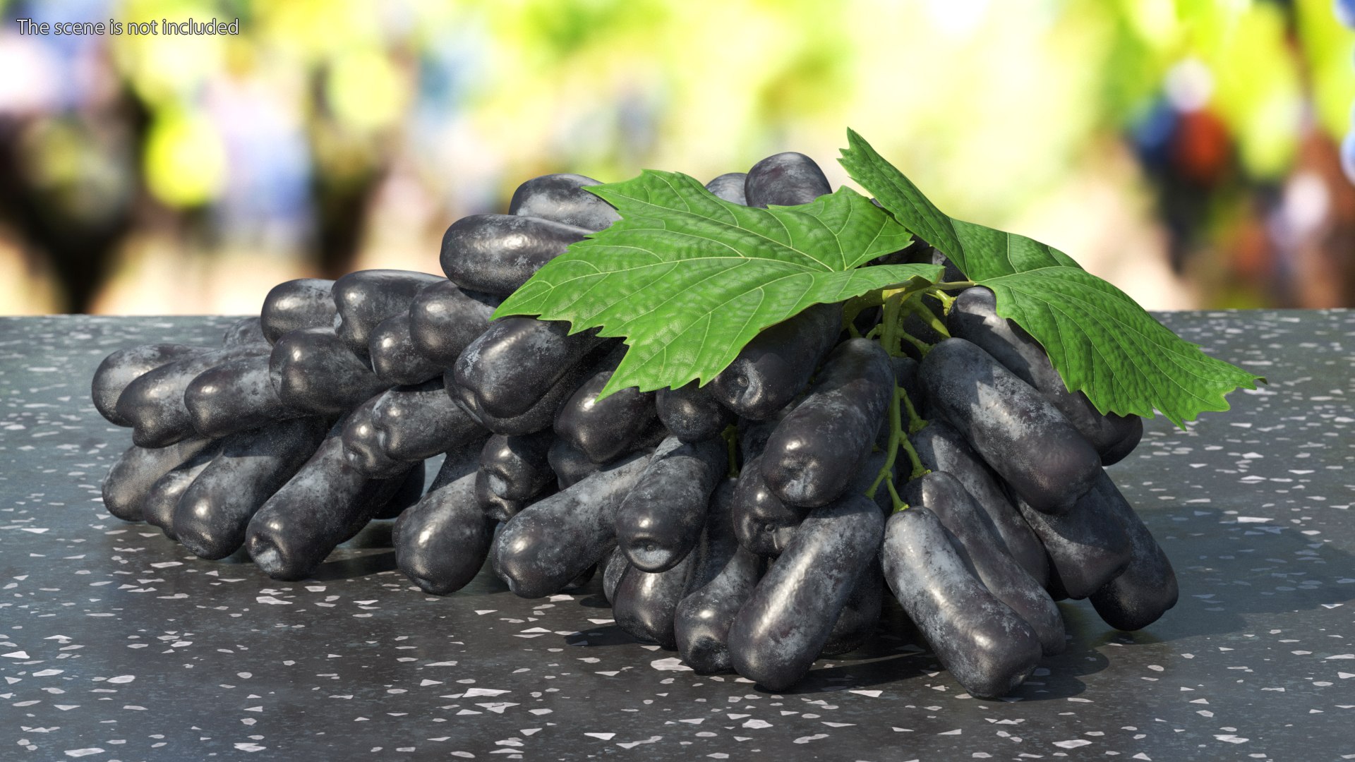 3D Lady Finger Sweet Sapphire Grape Lying - TurboSquid 2201970