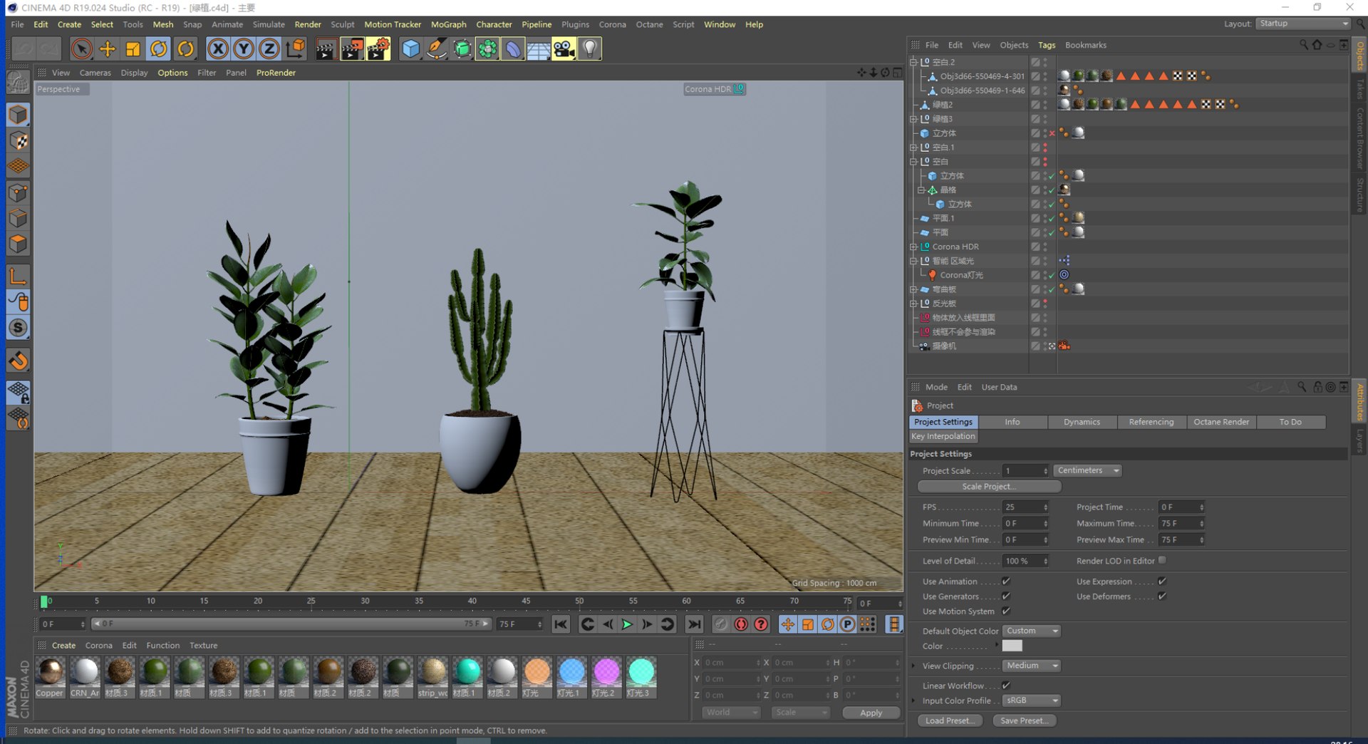 3D Plant Succulent Cactus Green Plant C4D CR Simple And Clean ...