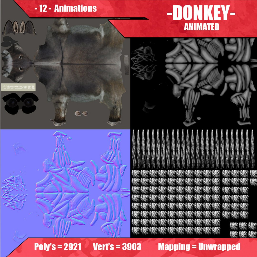 Donkey Animations 3d Model