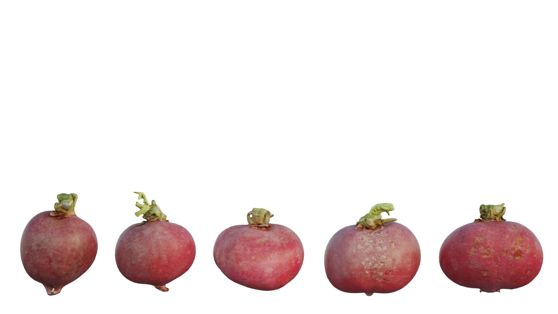 Radish Model - TurboSquid 1921981