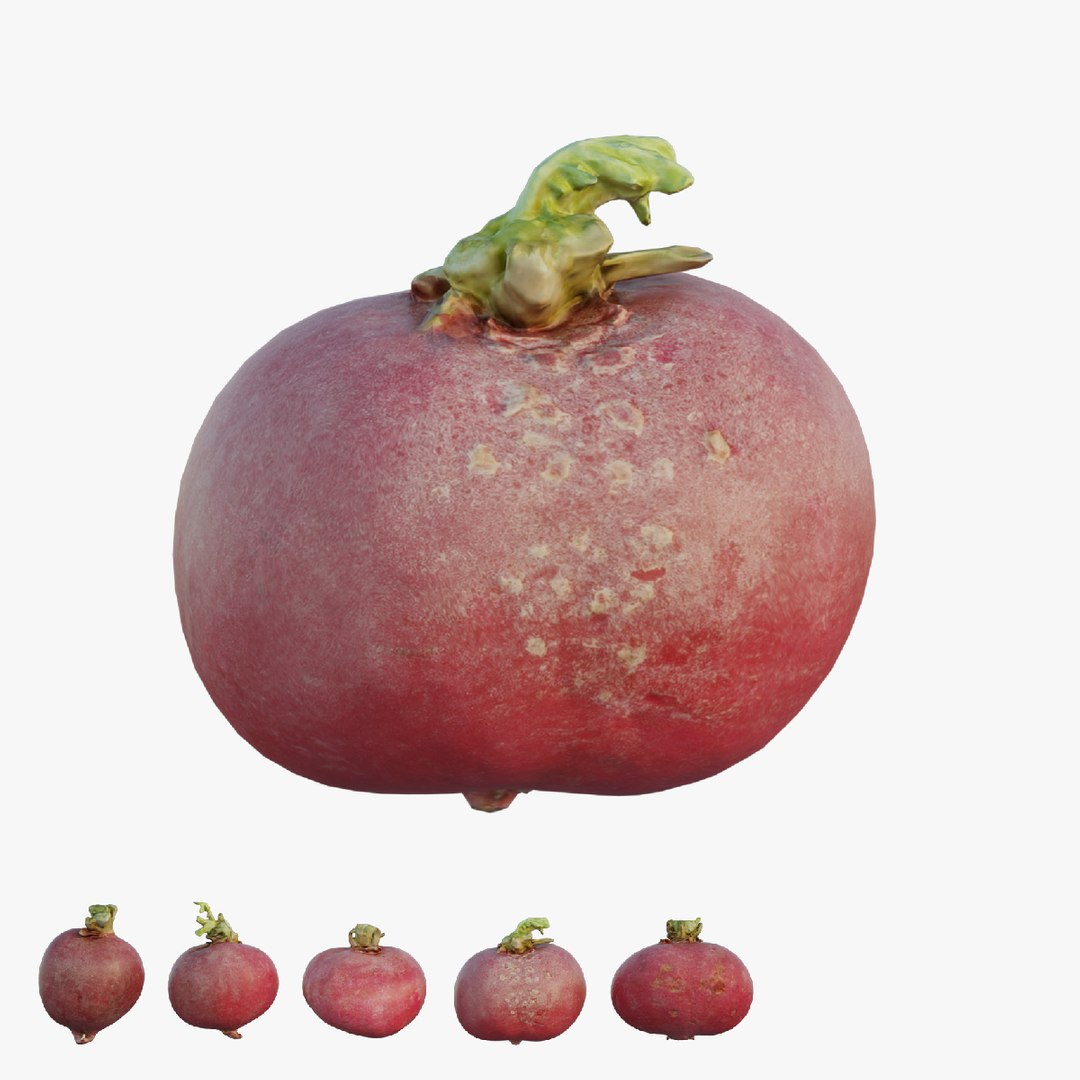 Radish Model - TurboSquid 1921981