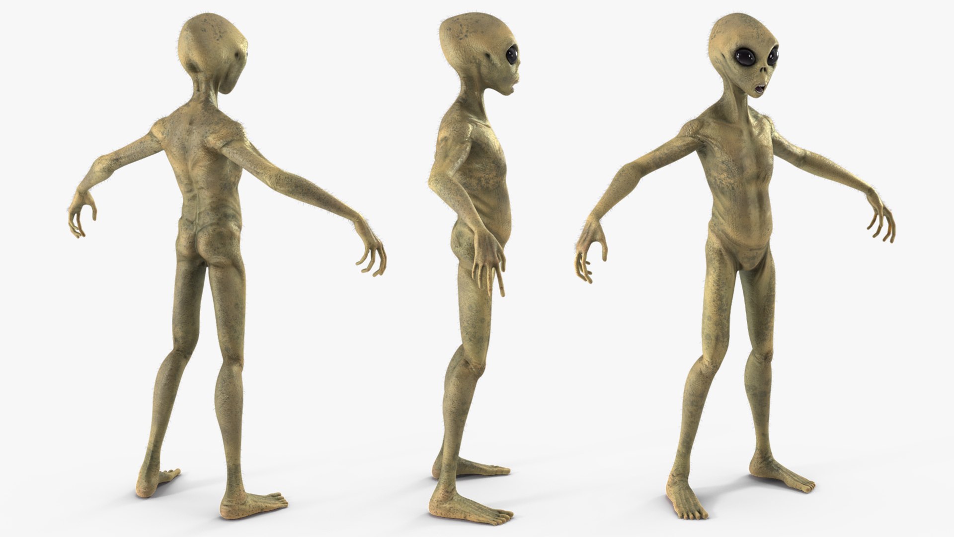3D Humanoid Alien Creature Fur - TurboSquid 1871185