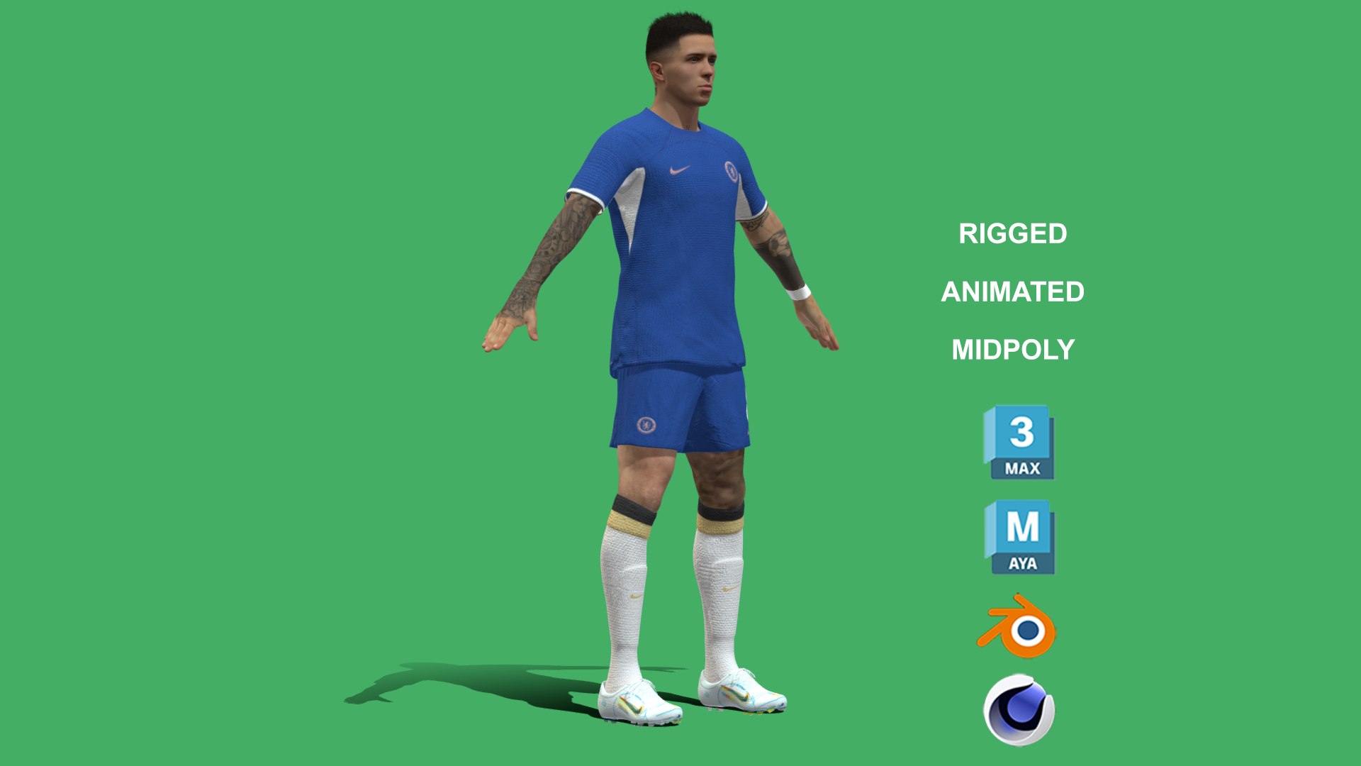 3D Rigged Enzo Fernandez Chelsea 2024 3D Model - TurboSquid 2114237