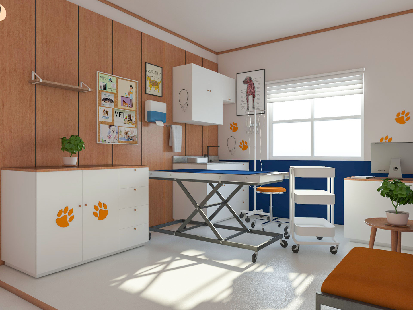 3D Veterinary Clinic 3D Model - TurboSquid 1798037
